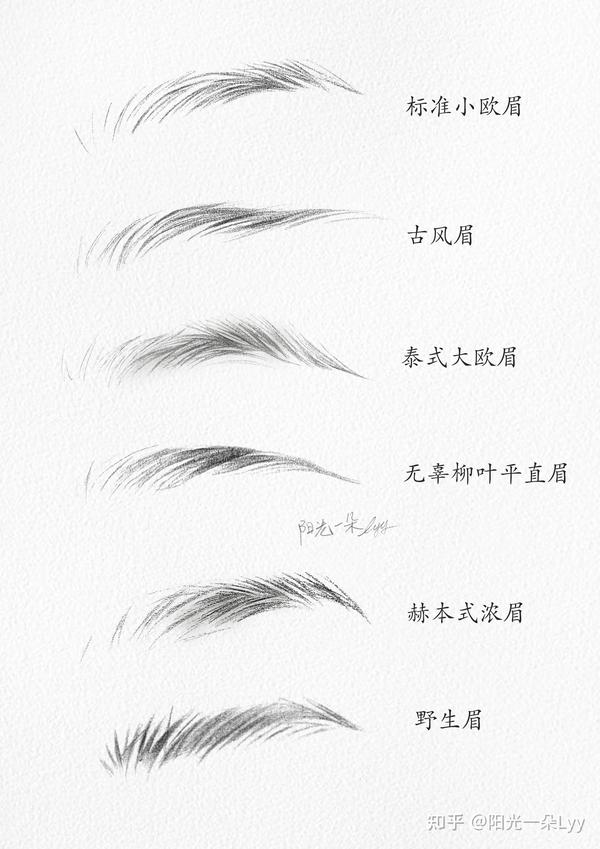 【眉毛教程】新手画眉公式 知乎
