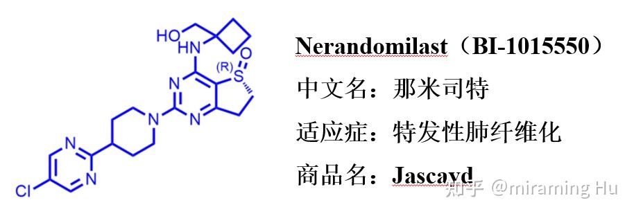 【药讯】美国FDA批准特发性肺纤维化药物nerandomilast上市 - 知乎