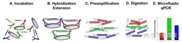 什么是Olink蛋白质组学？ - 知乎