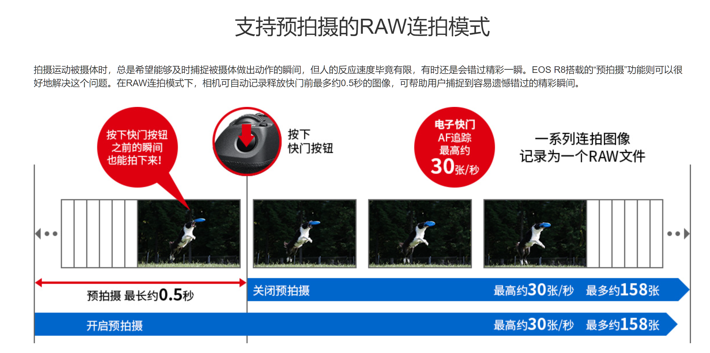 佳能 EOS R8 全画幅专微相机有哪些亮点？ - 知乎