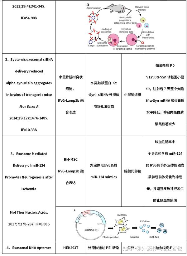 干货分享|脑神经靶向RVG修饰工程化外泌体应用 - 知乎