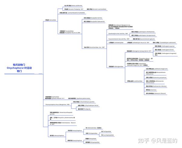 叶足动物门分类图鉴 - 知乎