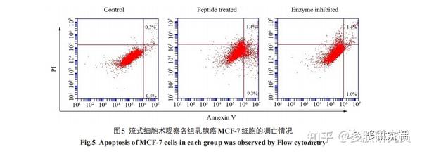 新型LL-37杂合肽对乳腺癌MCF-7细胞的抗肿瘤活性的研究 - 知乎