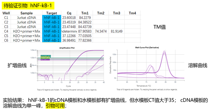 qPCR引物验证方法一 - 知乎
