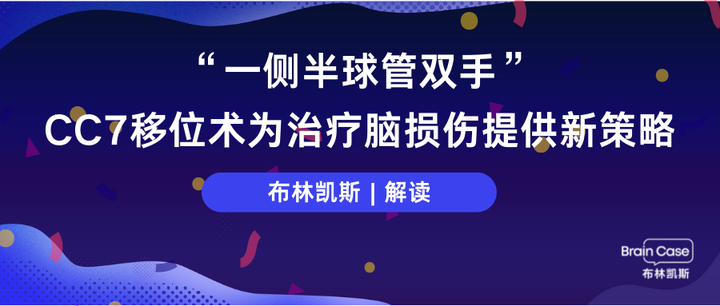 小布解读 | “一侧半球管双手”，CC7移位术为治疗脑损伤提供新策略！ - 知乎