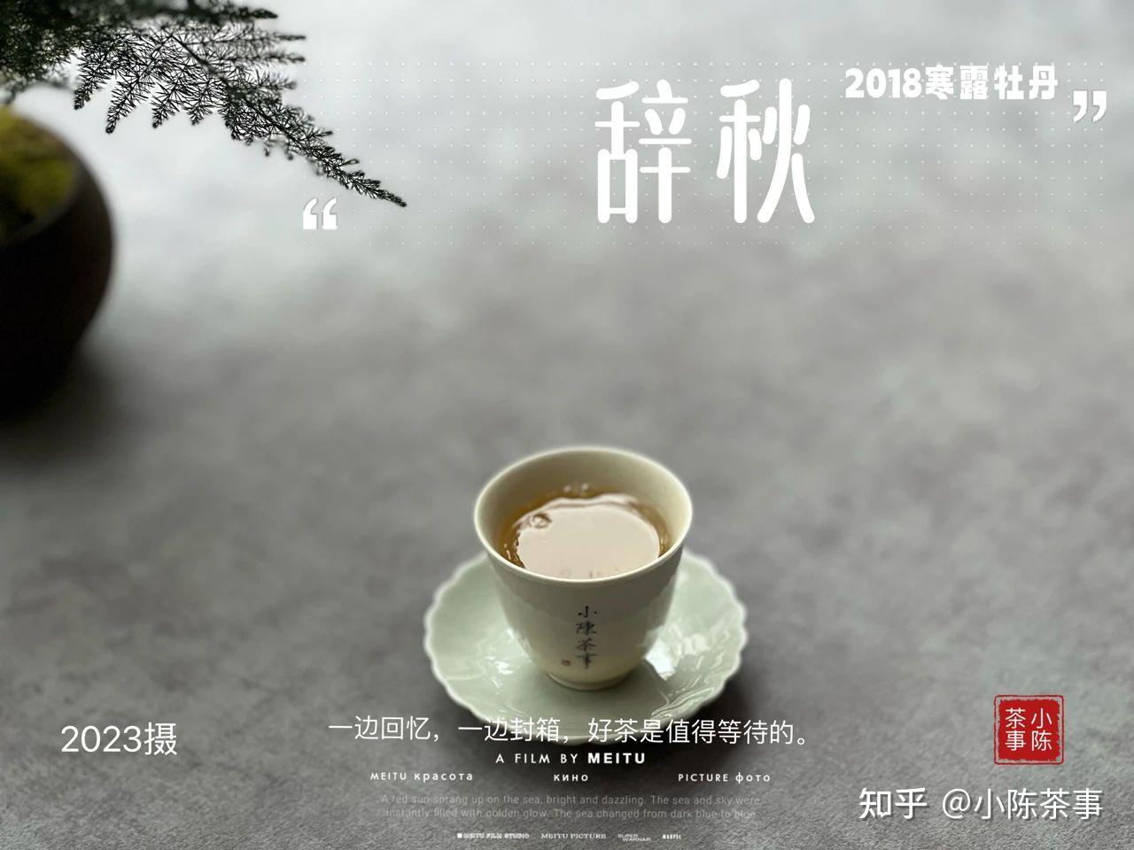 一天不同时间段，喝什么茶比较好？完整详尽的喝茶清单来了 - 知乎