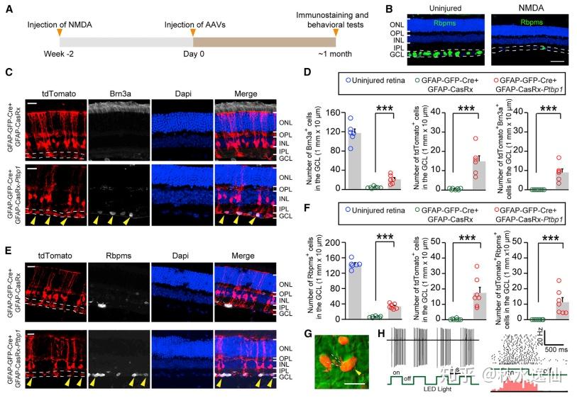 文献简单总结-1 - 知乎