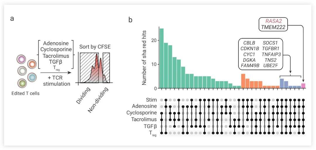 Nature | RASA2-KO——让过继性 T 细胞持久更有效 - MedChemExpress - 知乎