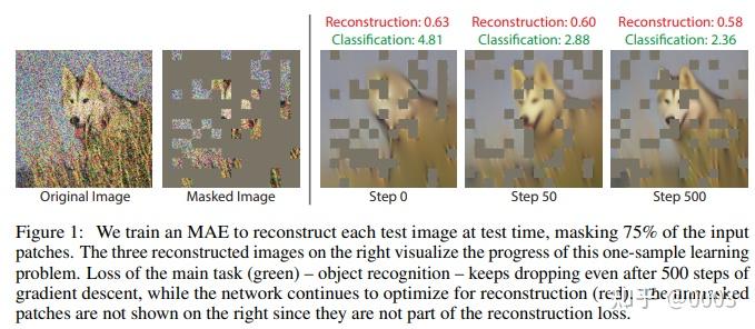 【论文阅读】TTT+MAE：Test-Time Training with Masked Autoencoders - 知乎