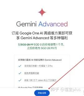 如何使用Gemini模型，国内如何订阅购买Gemini Pro的教程，Gemini Pro 免费试用操作步骤， 谷歌 aistudio 使用 ...