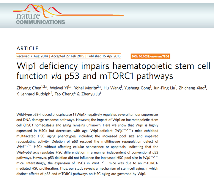 【文献翻译】Wip1缺乏通过p53和mTORC1途径损害造血干细胞功能 - 知乎