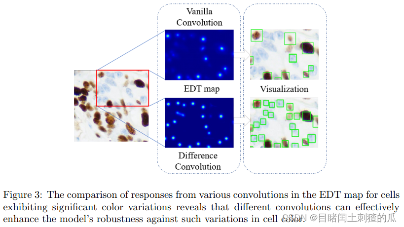 用于细胞定位的指数距离变换图--Exponential Distance Transform Maps for Cell ...