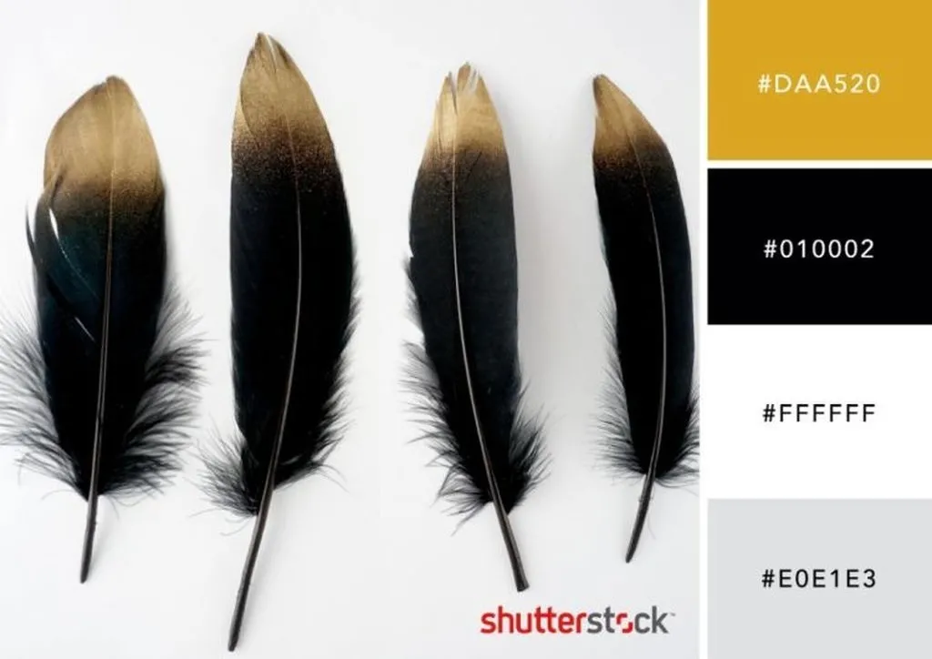 高端大气上档次的金色如何搭配？ - 知乎