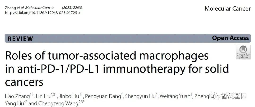 Mol Cancer | 肿瘤相关巨噬细胞在实体瘤抗PD-1/PD-L1免疫治疗中的作用 - 知乎