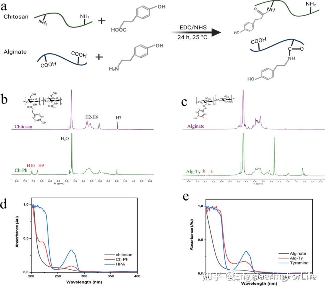 《Carbohyd. Polym.》：加点单宁酸，破解HRP介导水凝胶交联时H2O2和酚自由基抑制难题 - 知乎
