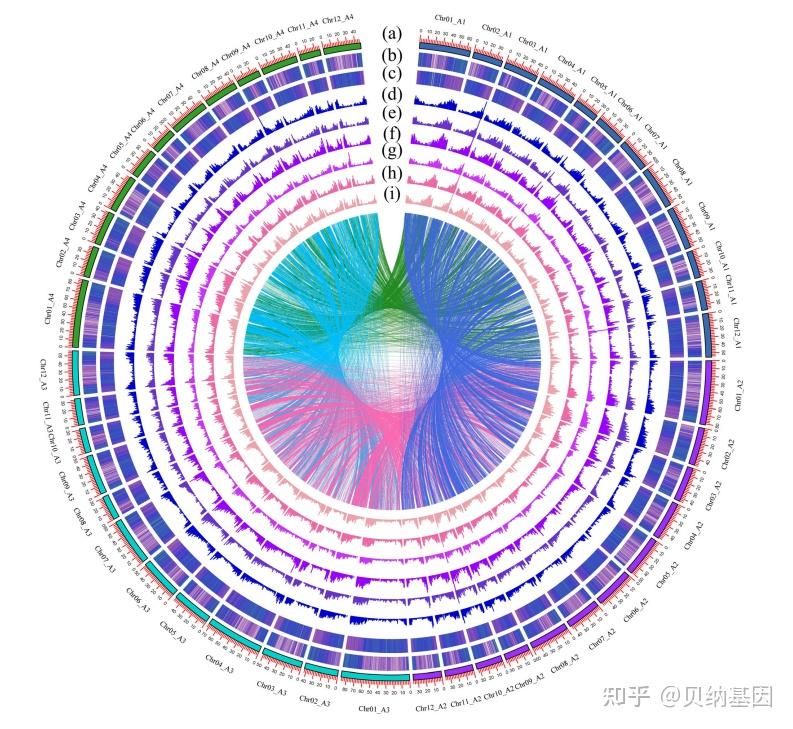 Hyper-seq测序应用——项目文章集锦 - 知乎