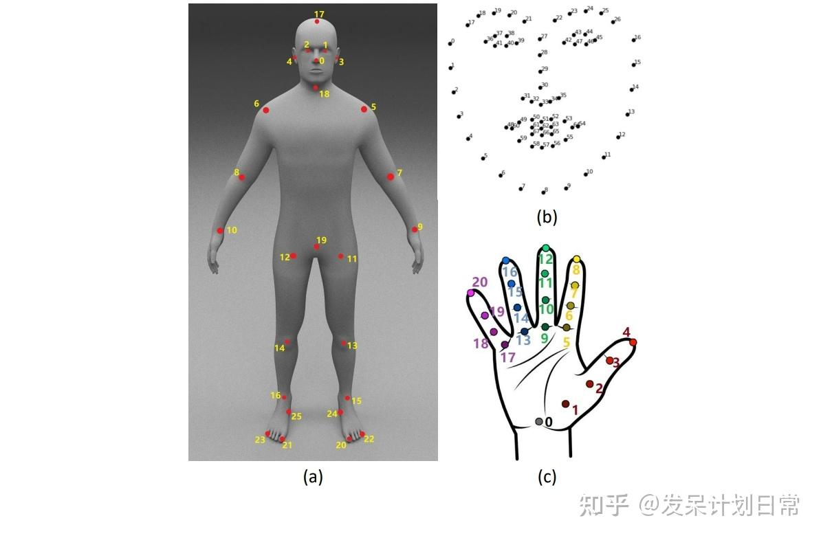 [AlphaPose] Whole-Body Regional Multi-Person Pose Estimation and ...