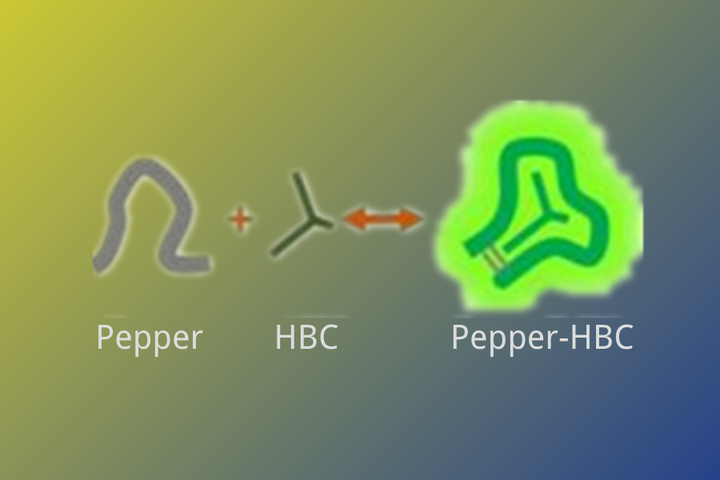 表达Pepper的质粒有哪些？怎么选择？ - 知乎