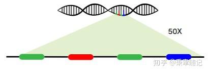 Stratos genomics的纳米孔三代测序平台 - 知乎