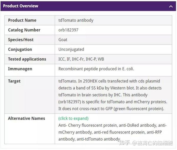亮度最强的荧光蛋白-tdTomato - 知乎