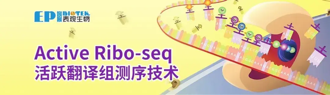 Active Ribo-seq：活跃翻译组测序技术 - 知乎