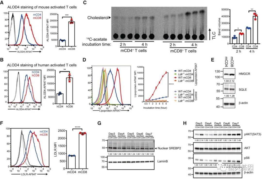 Cancer Cell | 宋保亮院士：胆固醇缺乏抑制免疫细胞抗肿瘤作用 - 知乎