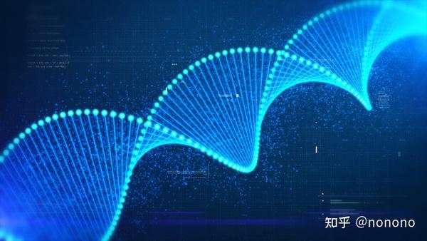 美国W+NMN直面讲解：nmn有什么作用？nmn如何起作用？ - 知乎