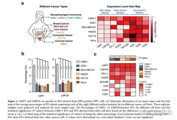 外泌体相关研究文献分享,轻松读完一篇文献（二十一） - 知乎