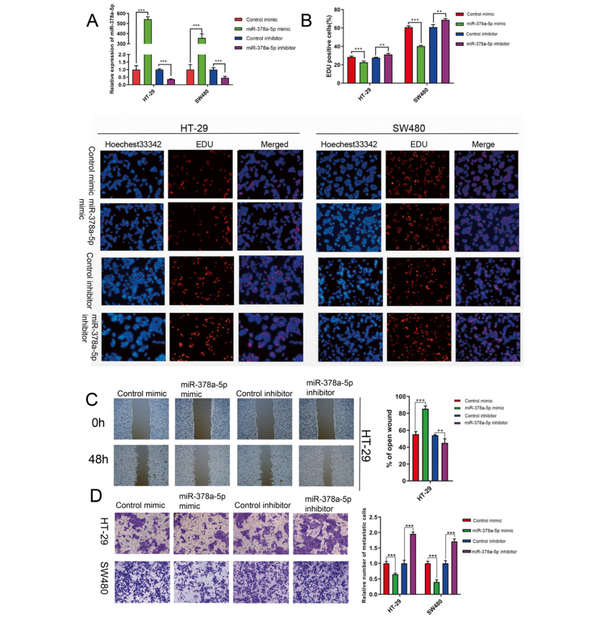 TCGA数据挖掘（miRNA）+细胞功能实验发文思路 - 知乎