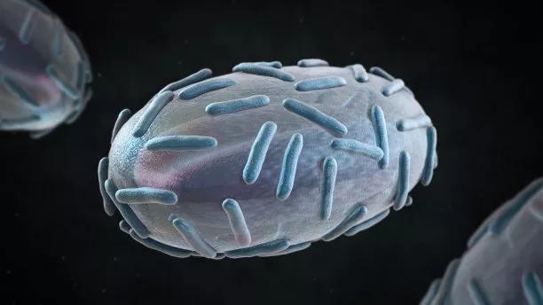 SCI期刊推荐:BIOPHARM INTERNATIONAL - 知乎