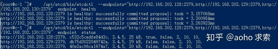 彻底搞懂 etcd 系列文章（三）：etcd 集群运维部署 - 知乎