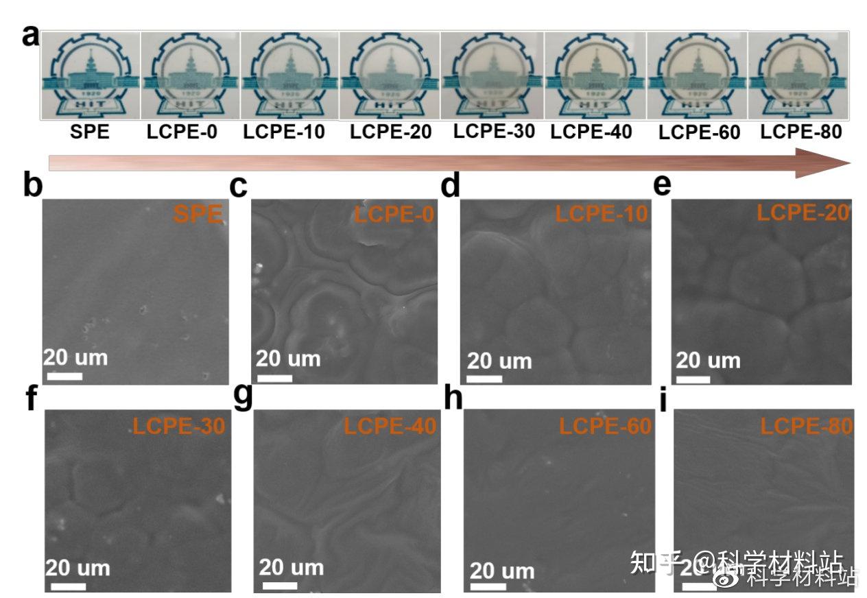 固态电池新观点EnSM：界面阳离子辅助实现PEO基复合电解质全固态锂金属电池的低温循环 - 知乎