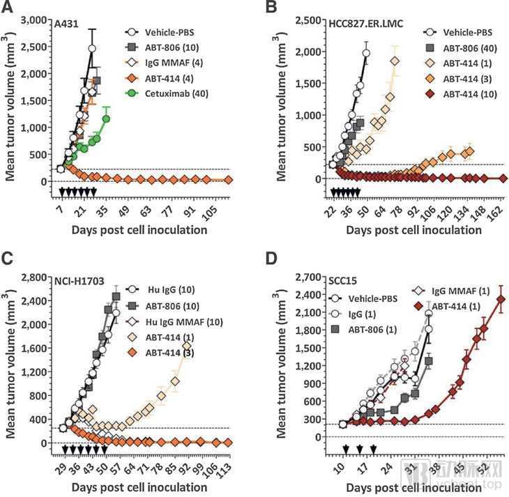 EGFR下一站：双抗与ADC - 知乎