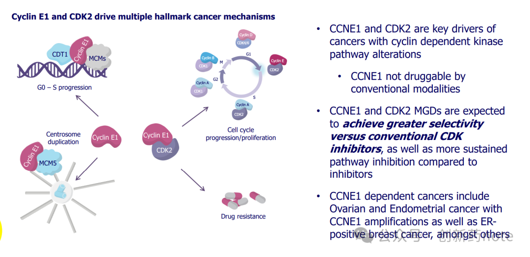 Monte rosa therapeutics – 分子胶领域的王 - 知乎