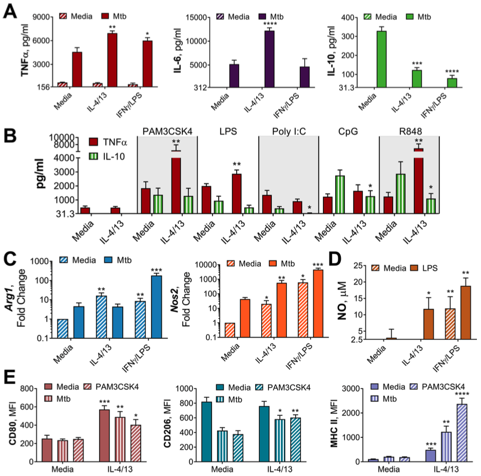 eLife丨 IL-4 和 IL-13 激活诱导的巨噬细胞免疫训练增强了OXPHOS驱动的抗分枝杆菌反应 - 知乎
