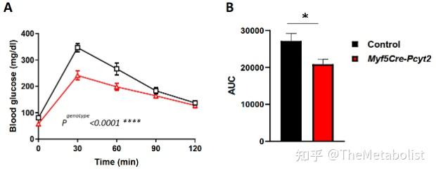 代谢学人——Nature Metabolism：PCYT2调控的脂质合成对与肌肉健康和衰老至关重要 - 知乎