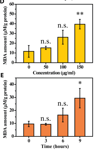 文献解读—非铁基纳米材料诱导细胞铁死亡 - 知乎