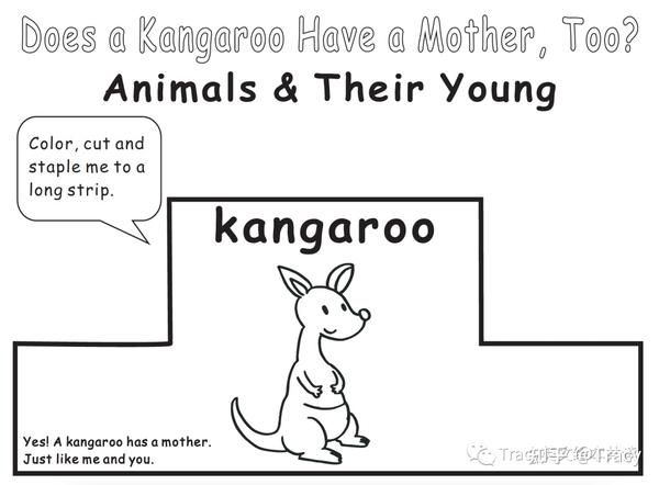 英文绘本推荐 亲子共读9：Does kangaroo have a mother, too？解读和拓展（母亲节快乐！） - 知乎