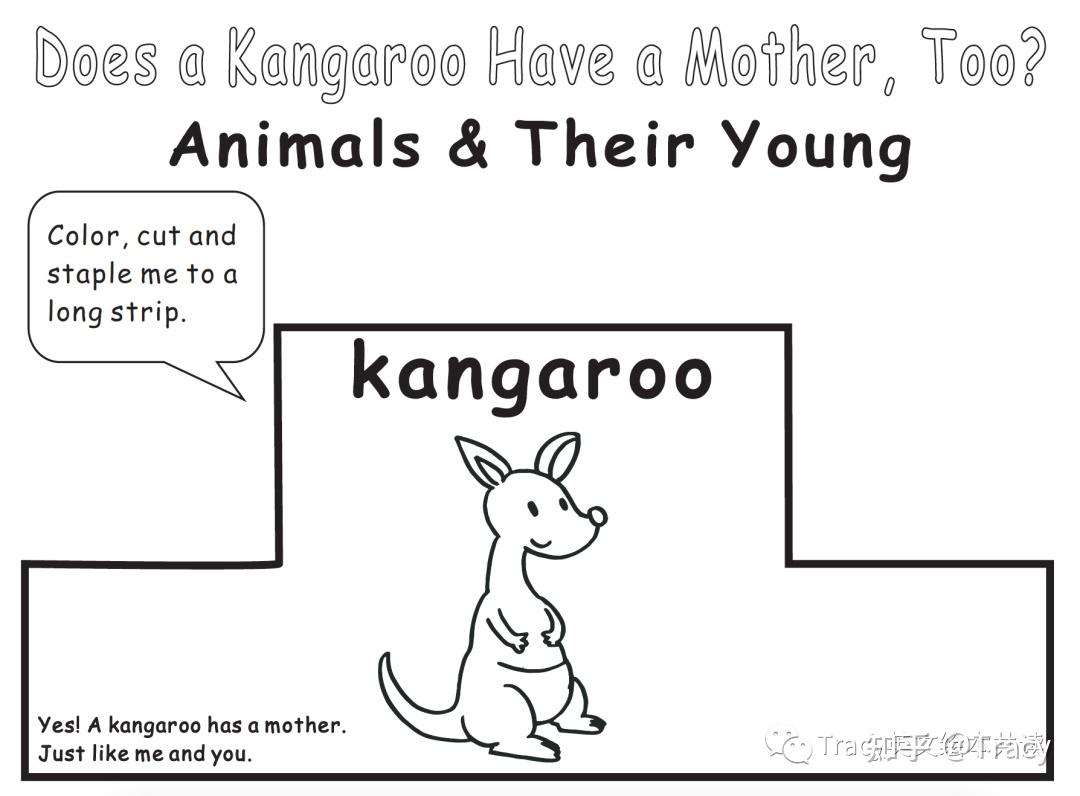 英文绘本推荐 亲子共读9：Does kangaroo have a mother, too？解读和拓展（母亲节快乐！） - 知乎