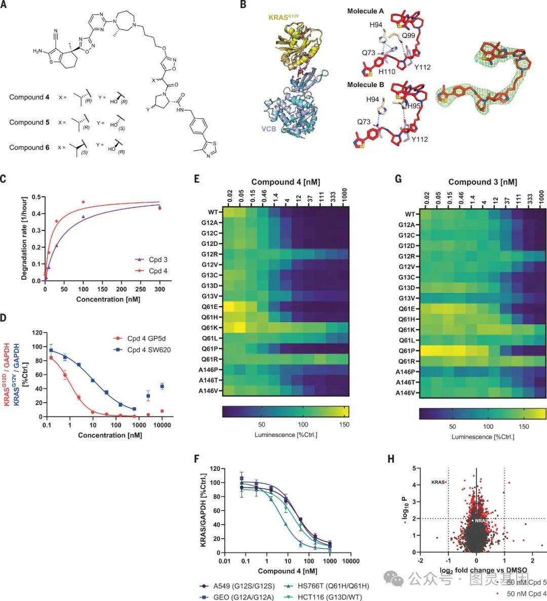 Science | KRAS新突破！小分子泛KRAS降解剂的抗癌潜力 - 知乎