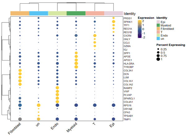 scRNA分析| 和SCI学 定制化聚类点图（Dotplot ），含二行代码出图方式 - 知乎