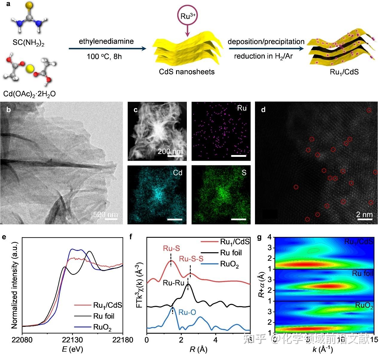 南林陈祖鹏Angew. Chem. ：单原子钌促进硫化镉光催化生物质衍生酸制备氨基酸 - 知乎