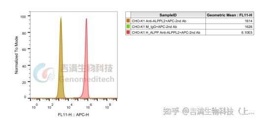 ALPPL2/ALPP: 具有肿瘤特异性的潜力靶点 - 知乎