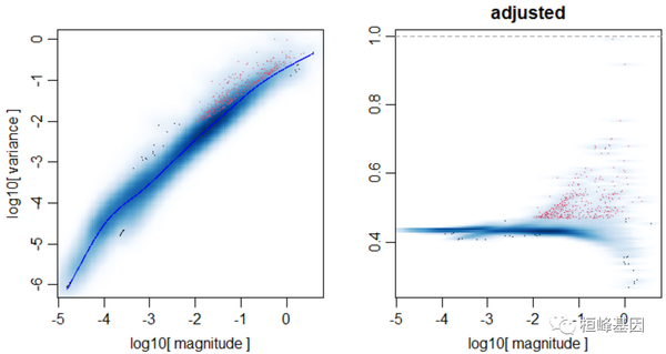 SCS【22】单细胞转录组之 RNA 速度估计 (Velocyto.R) - 知乎
