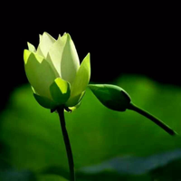 macOS Cursor 高效 IDE 配置指南：Go 与 Python 实践 - 知乎