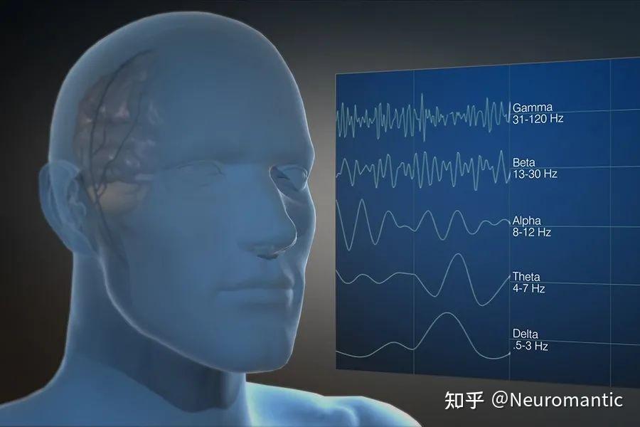 神经振荡（Neural oscillation）：神经活动的节奏和韵律 - 知乎