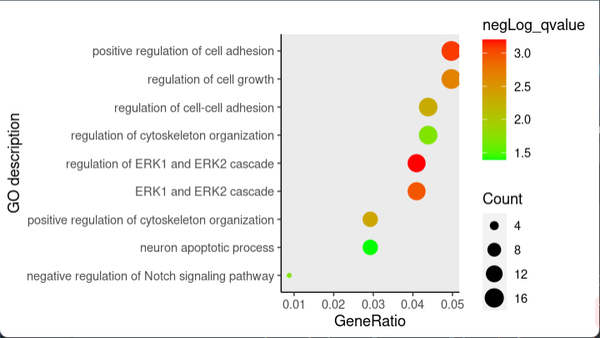 利用ggplot2绘制功能富集气泡图 - 知乎