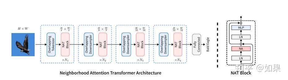 Neighborhood Attention Transformer - 知乎