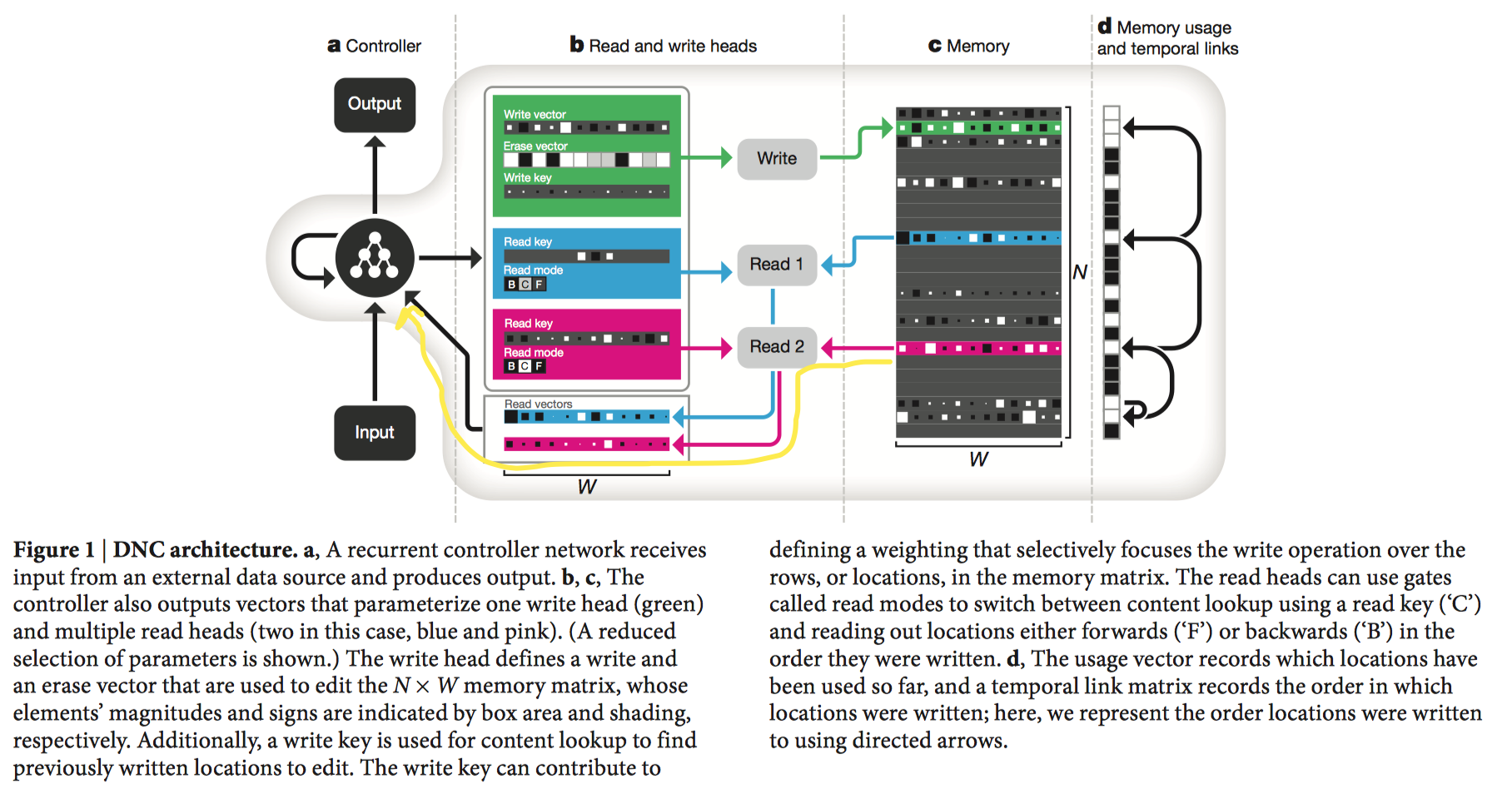 论文笔记 - 从神经图灵机 NTM 到可微分神经计算机 DNC - 知乎