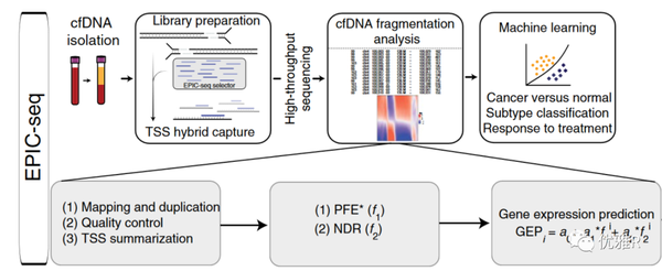 生信爱好者周刊（第 38 期）：选人不选项目的「基石项目」能否走向成功？ - 知乎